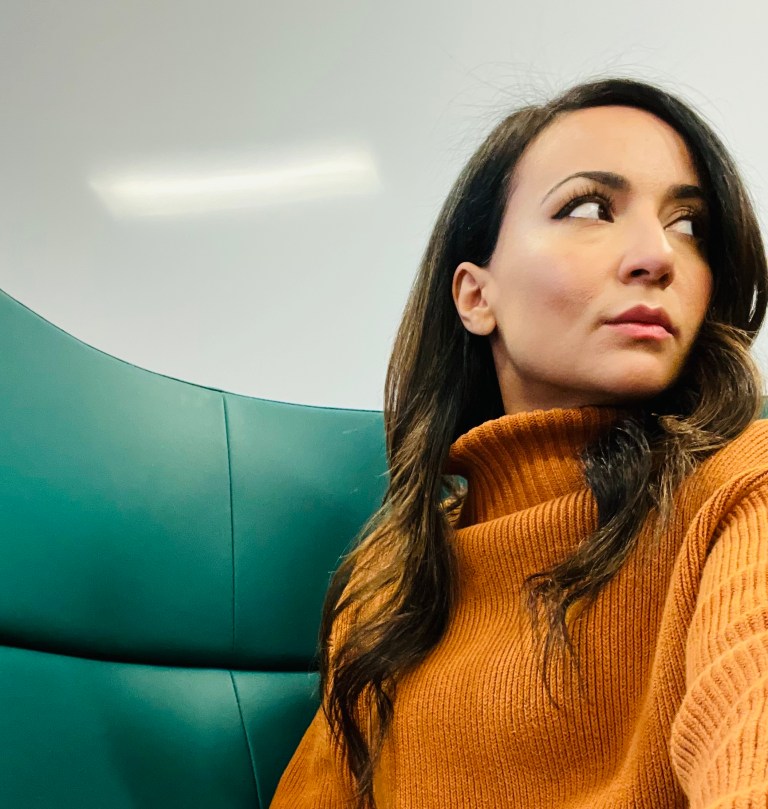 plasticity alina kalontarov – wildscape. literary journal